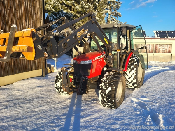 Massey Ferguson 3615 in Doren - Traktoren - kostenlose Kleinanzeigen ...